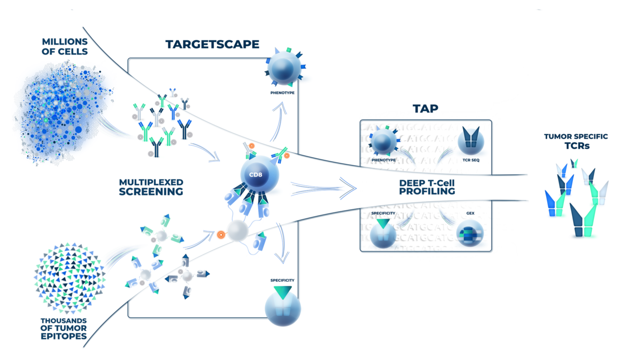 Our Science - ImmunoScape